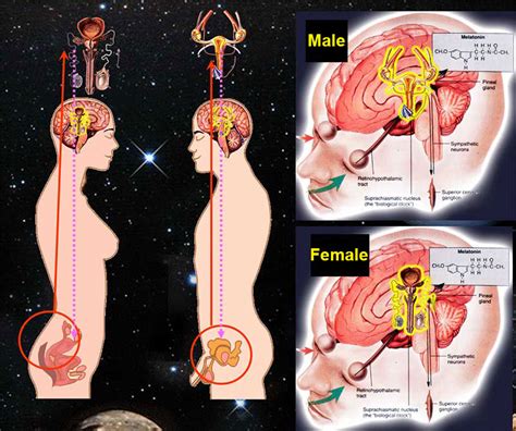Loving Energy That Heals ~ Transform Sexual Energy To Life Force Intensive 12 13 Sep 2021