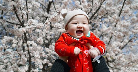 사진 벚꽃보다 예쁜 미소