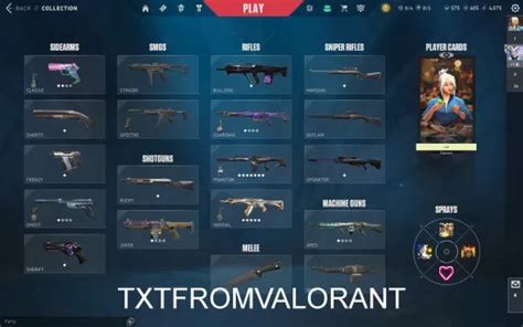 Singularity Phantom Forsaken Vandal Both Max Up