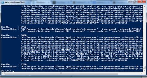 Windows Cli Show One Of Two Processes With The Same Name Super User