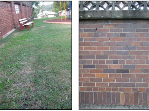 Prevent Tree Damage With Root Barrier Project ODS