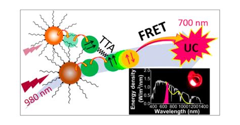 Enhanced Near Infrared To Visible Upconversion By A Singlet Sink Approach In A Quantum Dot