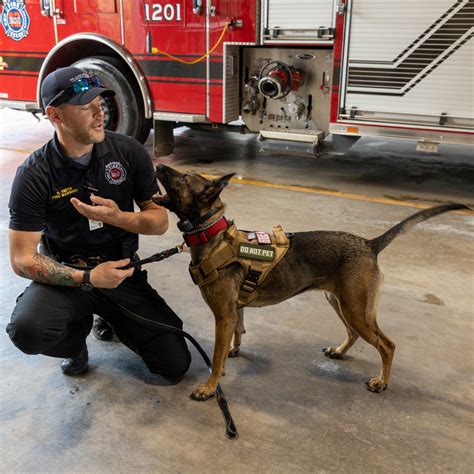 Final Sale K9 Zero Foxtrot