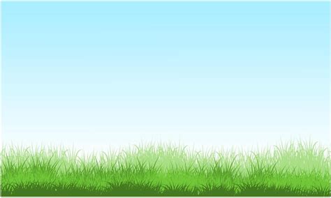 Grass Vector Art Icons And Graphics For Free Download