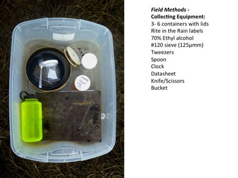 Terrestrial Invertebrates Tidal Marsh Monitoring