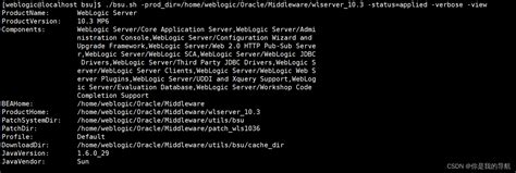 weblogic10 3 6补丁升级 csdn博客