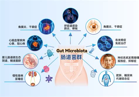 福慧科普 肠道菌群原来可以影响到这么多疾病！ 广东福慧医学科技有限公司
