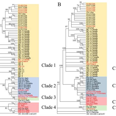 Maximum Likelihood Model For Full Genomes Aleft And The Largest Download Scientific