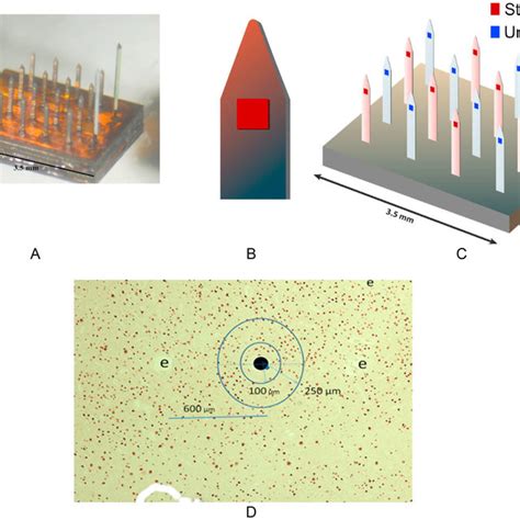 A Photograph Of An Intracortical Array The 16 Microelectrode Download Scientific Diagram