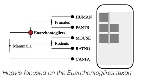 Open Reading Frame Dessimoz Lab