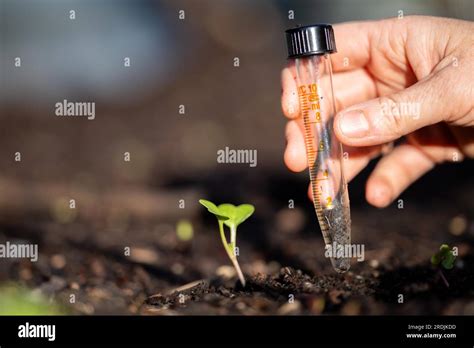 Farmer Collecting Soil Samples In A Test Tube In A Field Agronomist Checking Soil Carbon And