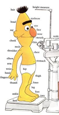 Sesame Street Bert And Ernie Feet