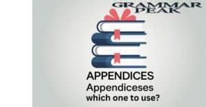 Appendices Or Appendixes Clarifying Usage Grammar Peak