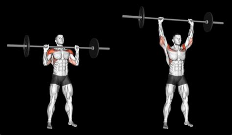 Barbell Standing Military Press Guide Muscles Worked Tips Athlemove