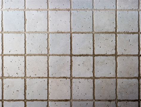 Classic Tile Floor Seamless Texture Stock Image Image Of Background