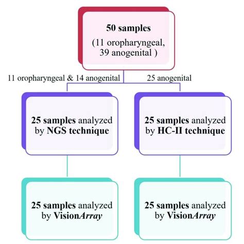 Flow Chart Of The Analyzed Specimens Ngs Next Generation Sequencing Download Scientific