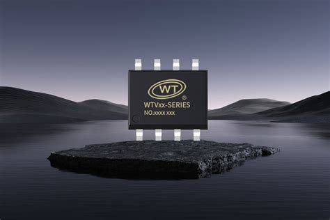 Introduction To The Application Of WTVxxx Voice Chip Solution In The Field Of Smart Small