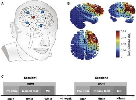Transcranial Direct Current Stimulation