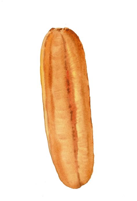 Original Drawn By Hao Colda Danbooru