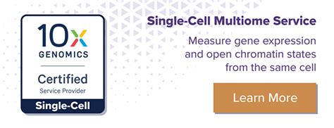 Using Single Cell Multiomics To Characterize Human Developmental