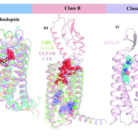 Crystal Structures Of Representative Gpcr Ligand Complexes From Download Scientific Diagram