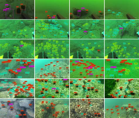 Qualitative Detection Results Of Proposed Algorithm On Urpc2020 Dataset Download Scientific