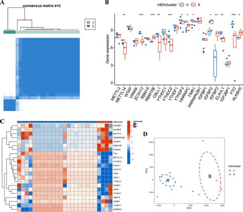 Consensus Clustering Of 22 Degs Of M6a Regulators A Consensus Matrix
