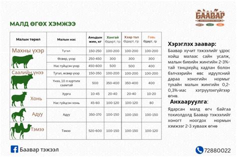 МАЛЫН ТЭЖЭЭЛ ӨВС ХИВЭГ ХОРГОЛЖИН НЭГДСЭН ЗАР БААВАР олон найрлагат хүчит тэжээл