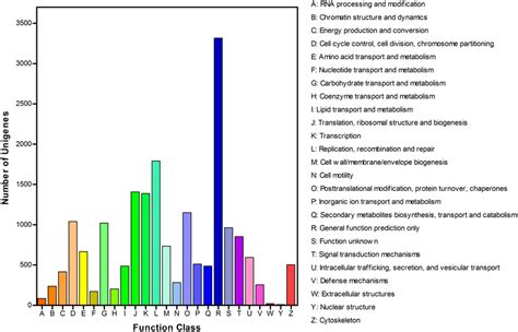 Cog Function Classification Of C Bowringi Unigenes Download
