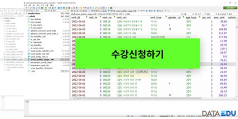 도전 실전 데이터분석 sql 실무 sql 파이썬을 활용한 빅데이터 분석