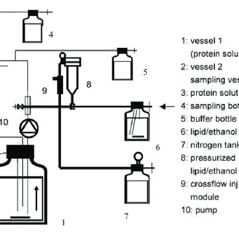 A Schematic Diagram Of Pdnalpei Nanoparticle Purification By Tff Download Scientific