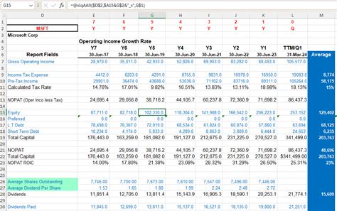 Financial And Fundamenal Data In Excel