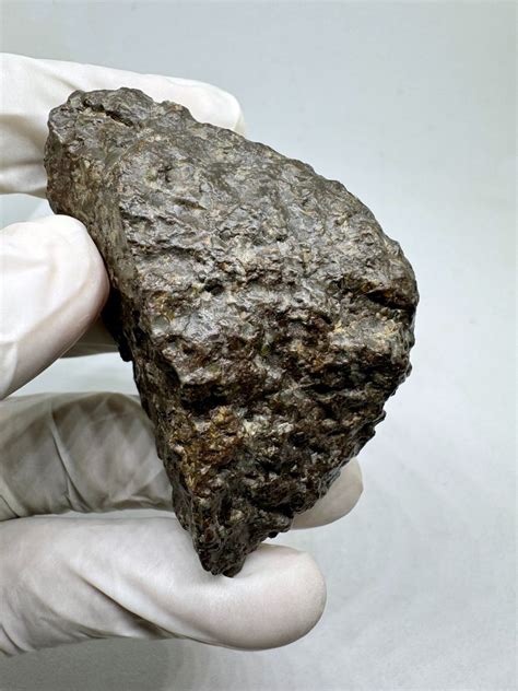 Wunderschöner Ausgerichteter Primitiver Achondtie Meteorit Nicht Klassifizierter Ureilit 103 G