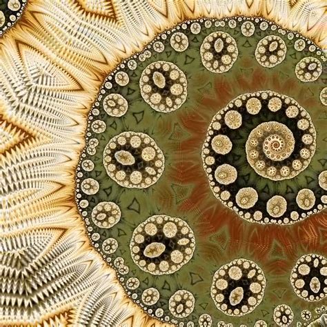 Mandelbrot Julia Set Transformation R 0ug