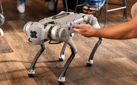 Classroom Quadruped Robotics Program By Droneblocks In Dripping Springs Tx Alignable