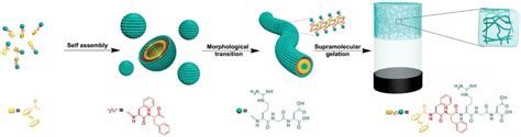 Fc Ffrgd Self Assembling Process For The Production Of Supramolecular Download Scientific