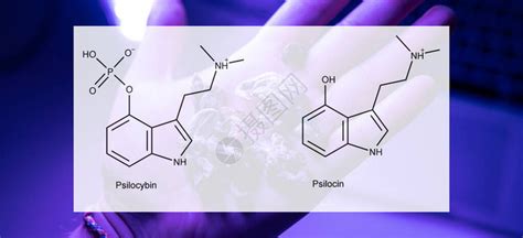 psilocybin和psilocin对人们的心理和身体健康的医学影响psilocybin的娱高清图片下载 正版图片504053478 摄图网
