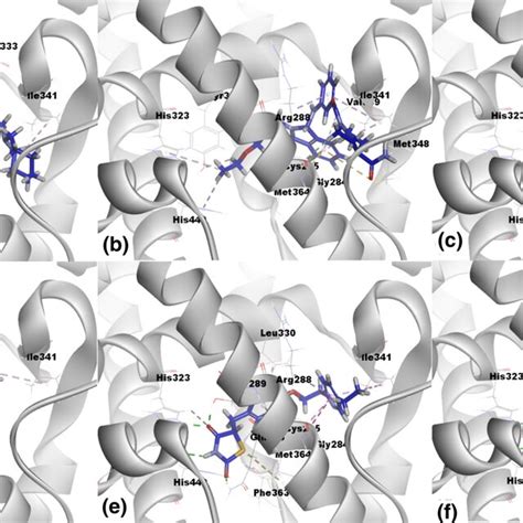 3d Binding Mode Of Virtual Screening Identified Hits Ligands A Download Scientific Diagram