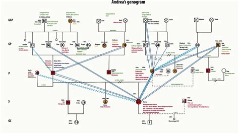 An Introduction To Genograms Youtube