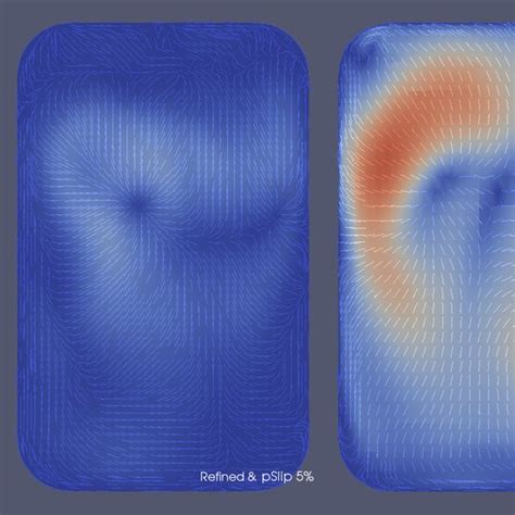Comparison Of The Instantaneous Surface Velocity Magnitude Field For