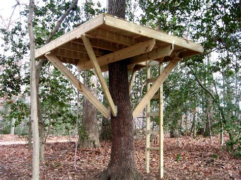 tree house platform tree house diy simple tree house tree house plans