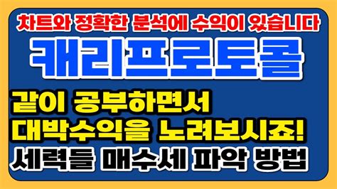 캐리프로토콜 세력 매수세 파악해서 수익내는 교육영상 캐리프로토콜코인캐리프로토콜상폐캐리프로토콜목표가격캐리프로토콜호재단타