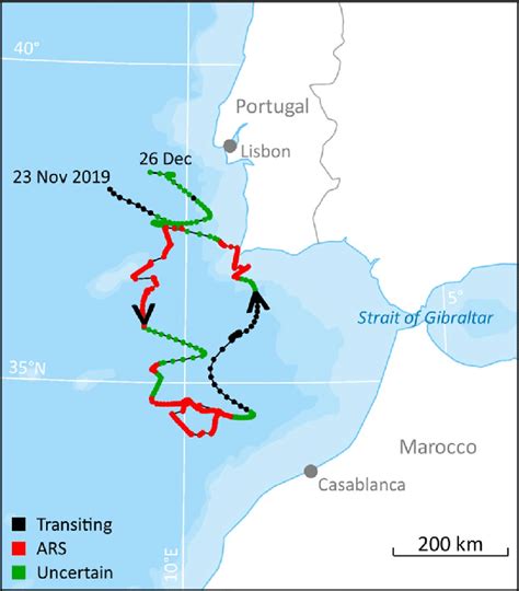 Hierarchical Switching State Space Model Derived Locations And Inferred Download Scientific