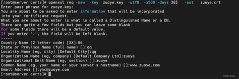 Linux使用域名访问web网站linux Web怎么访问站点 Csdn博客