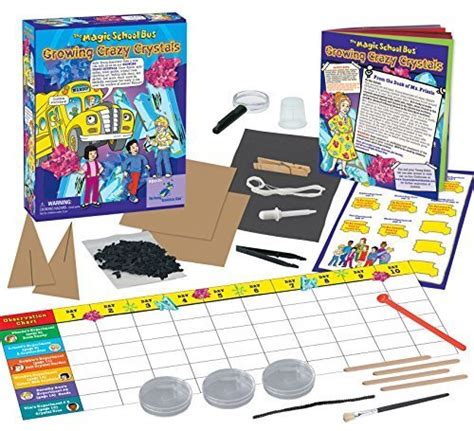 Hands On Science Fun With The Magic School Bus Heart And Soul