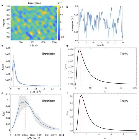 Representative Divergence Field Obtained From Velocity Field Of One Download Scientific Diagram