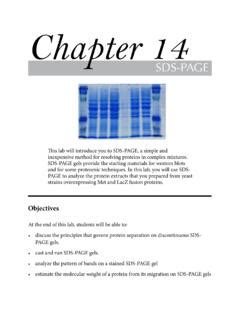 Chapter Chapter Pdf PDF PRO