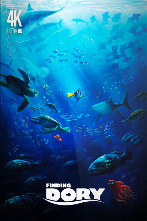 Finding Dory 4k By Captainzbob On Deviantart