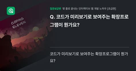 코드가 미리보기로 보여주는 확장프로그램이 뭔가요 인프런 커뮤니티 질문and답변