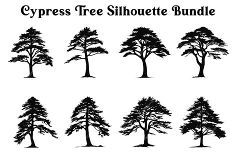 Premium Vector Cypress Tree Silhouettes Bundle Set Of Trees Trees Vector Silhouette Clipart